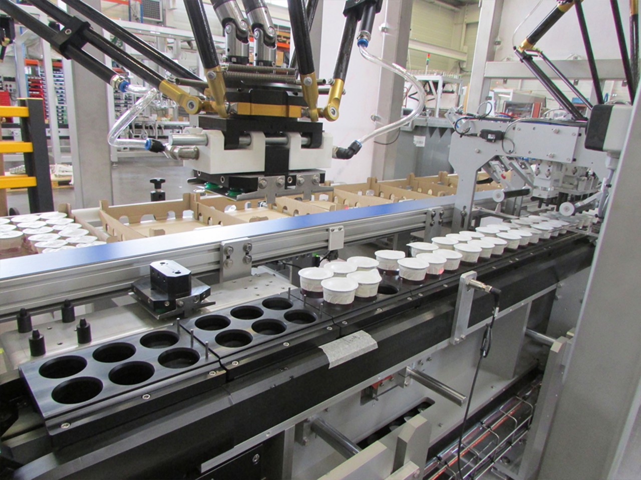 Top load case packer | MG Tech